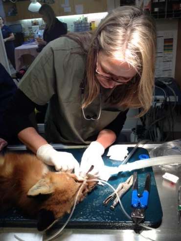 About the National Wildlife Centre | National Wildlife Centre